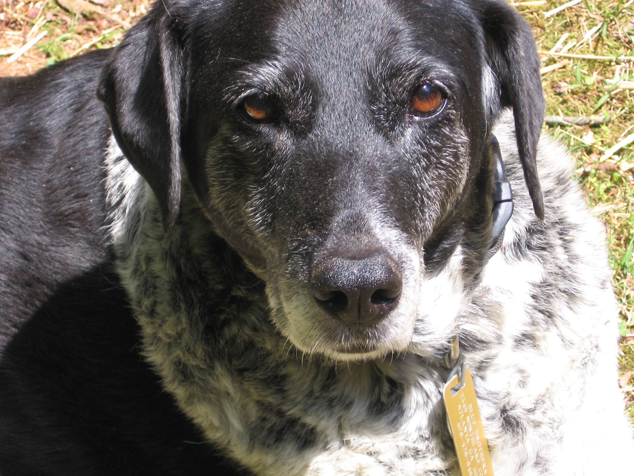 A Closer Look: Here’s the Latest – Mike Coleman