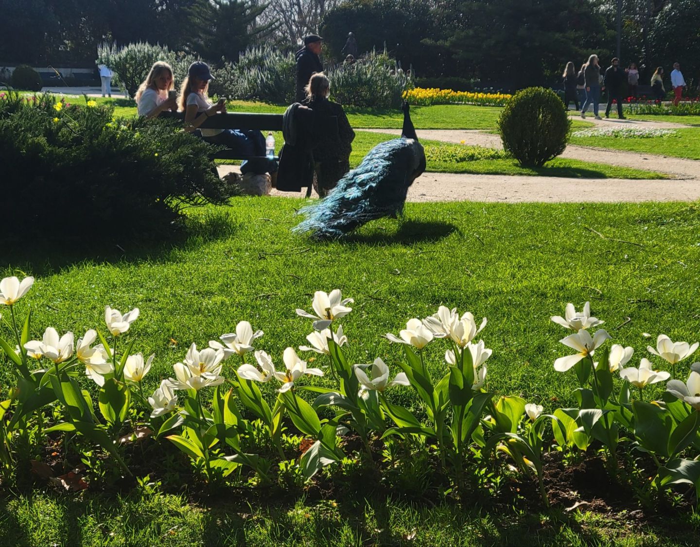 Take a Saturday Stroll with Me – Mike Coleman